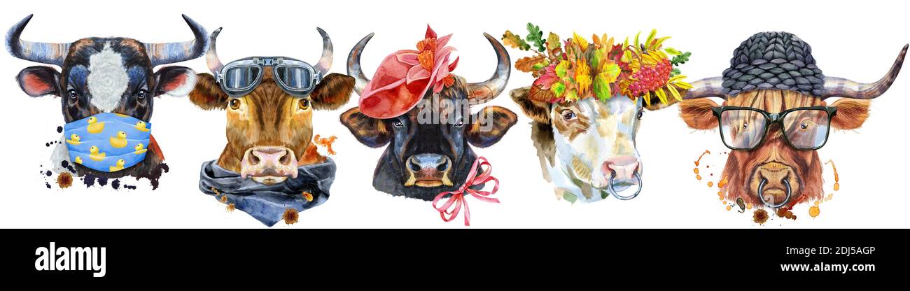 Cute border from watercolor portraits of bulls. For t-shirt graphics ...