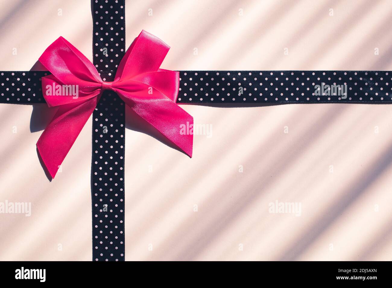 Pink bow on dotted black ribbon. Gift, celebration background concept ...