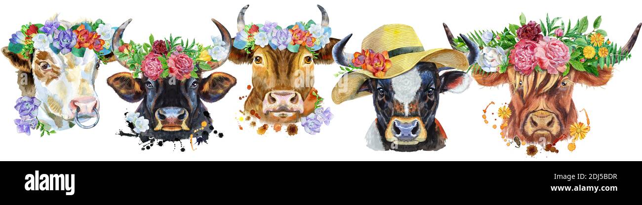 Cute border from watercolor portraits of bulls. For t-shirt graphics ...