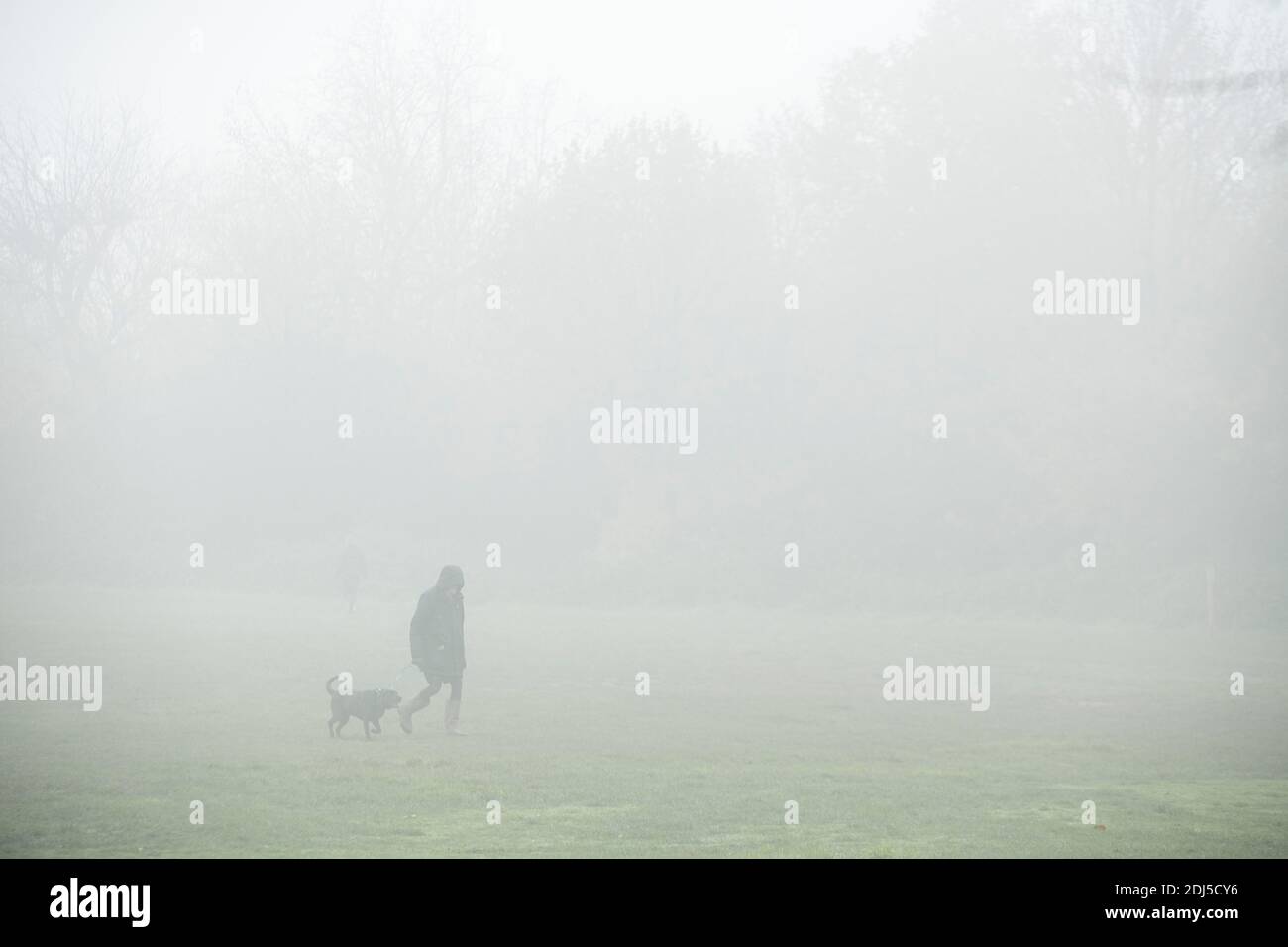Walking the dog on a foggy day in a London park Stock Photo - Alamy
