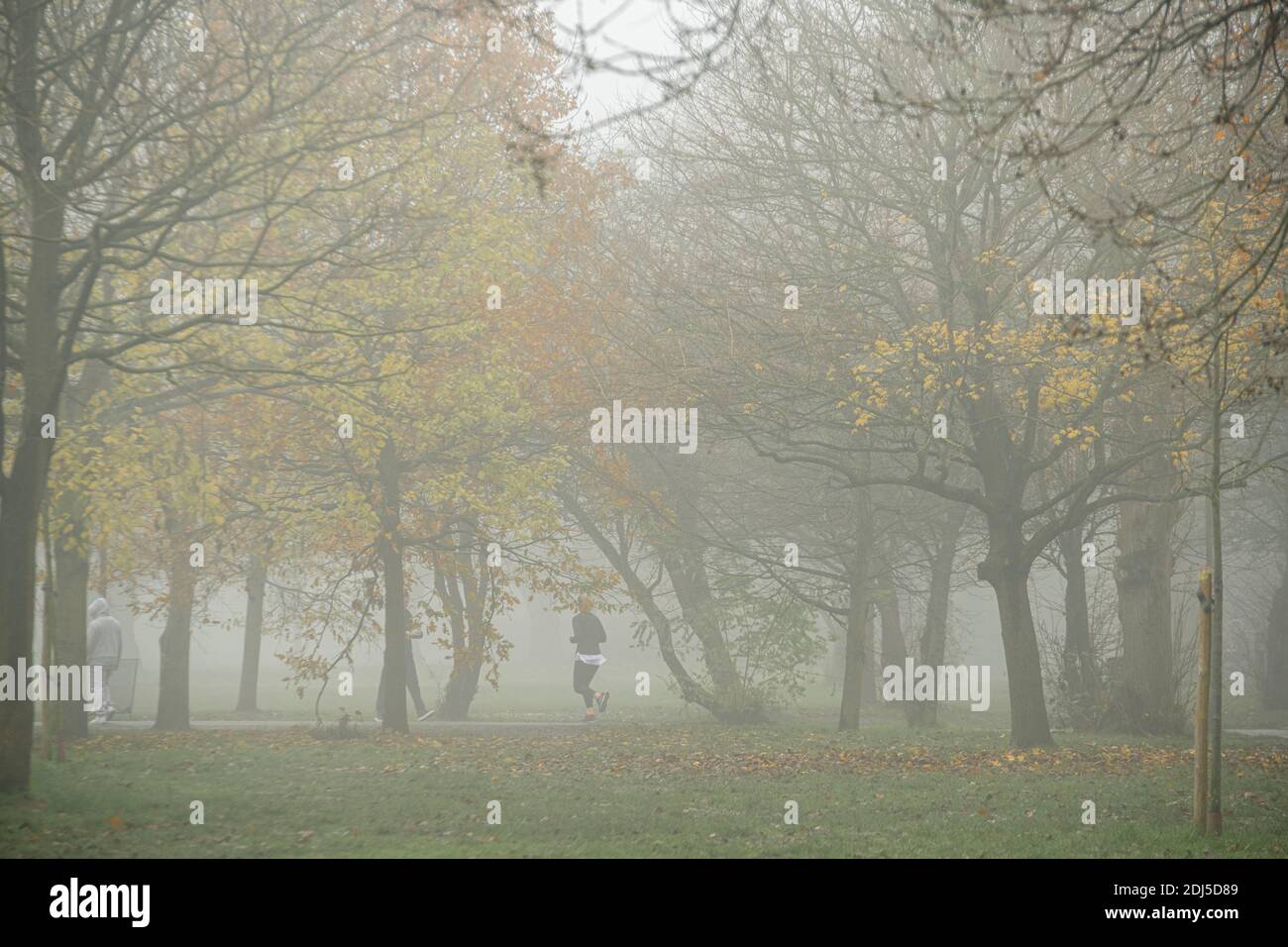 Going for a run on a foggy day in a London park Stock Photo - Alamy
