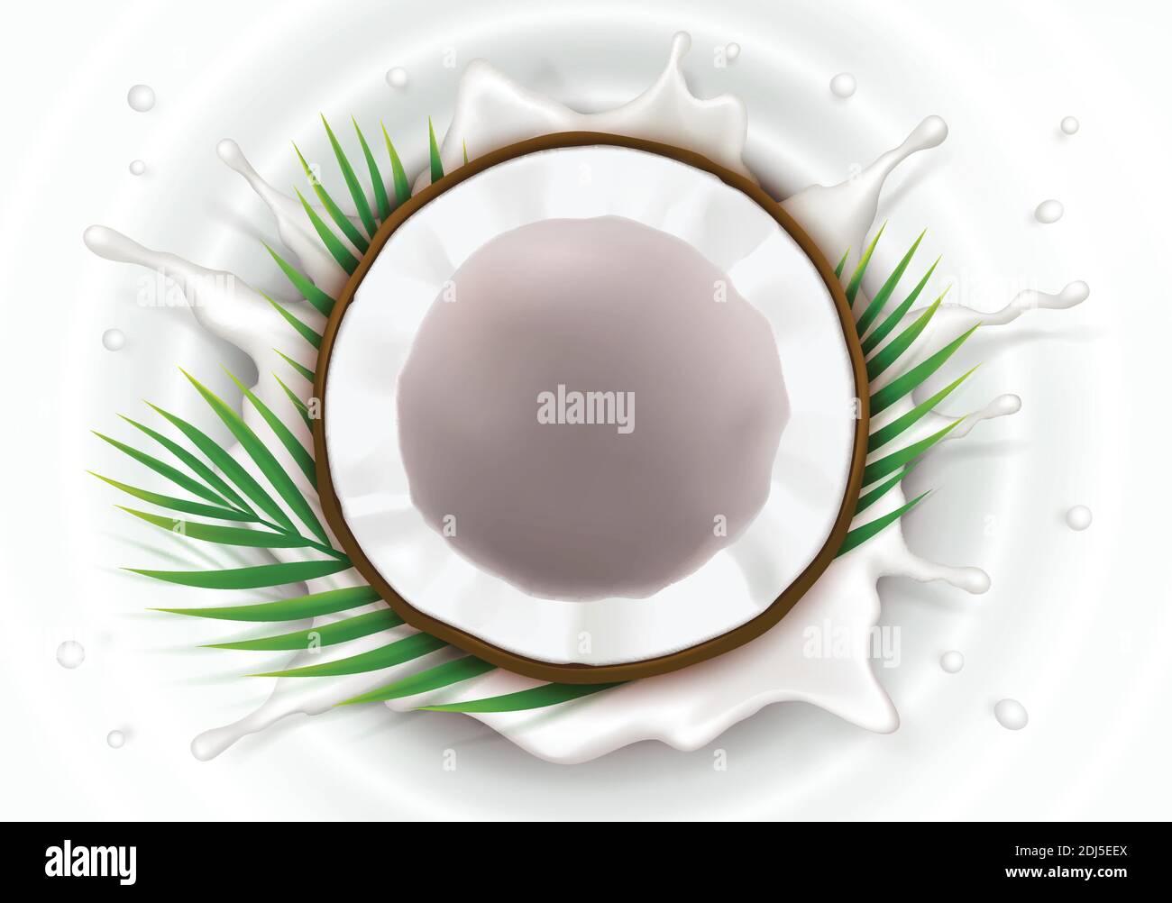 Broken coconut in milk splash and drops realistic vector, half coco nut ...