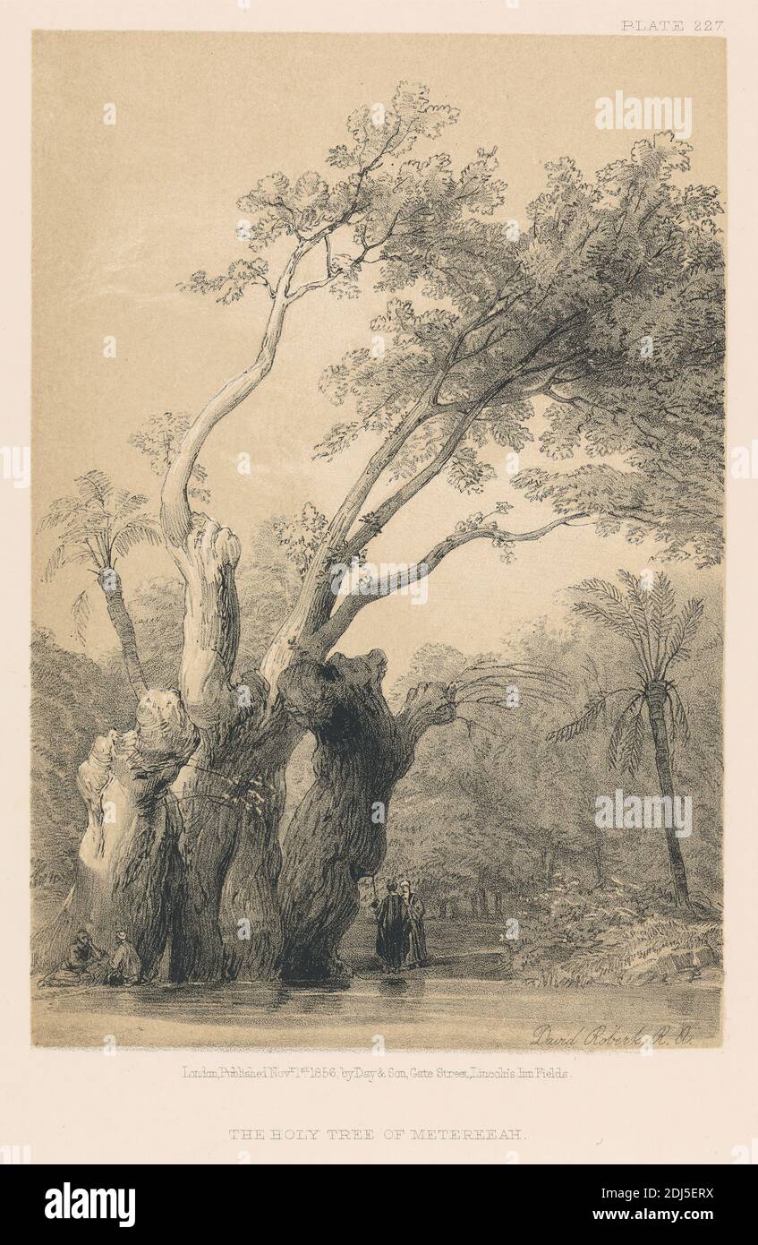 The holy tree hi-res stock photography and images - Alamy