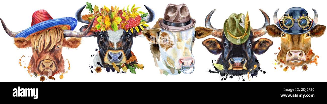 Cute border from watercolor portraits of bulls. For t-shirt graphics ...