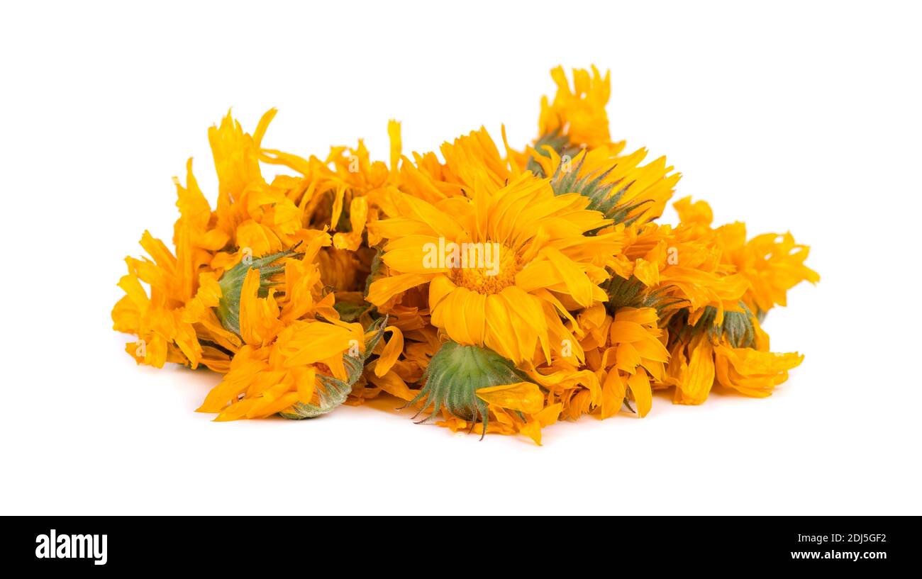 Dried calendula flowers isolated on white background Stock Photo - Alamy