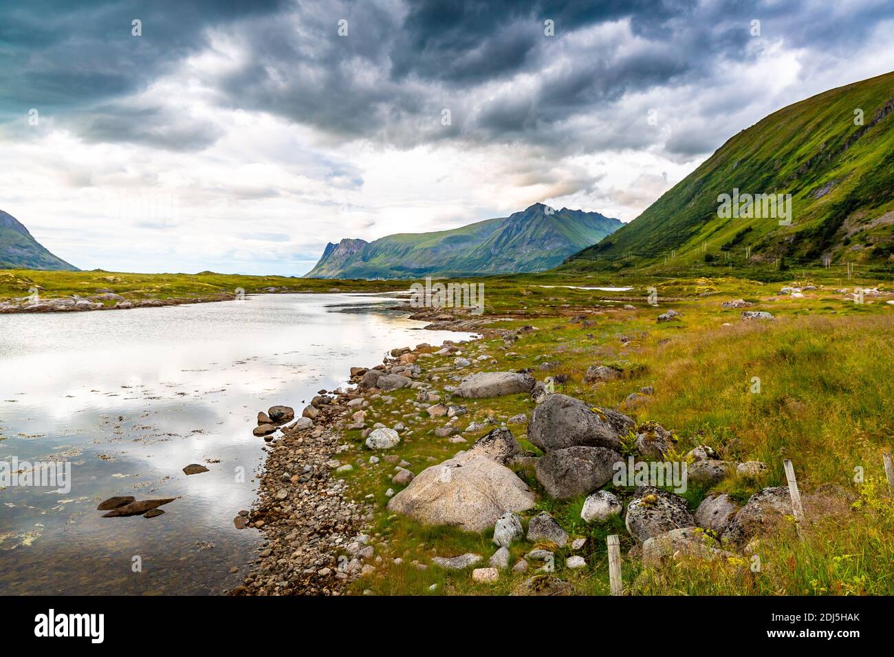 Norway landscape with fjord, mountains, forest in Lofoten , Norway ...