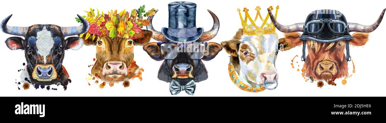 Cute border from watercolor portraits of bulls. For t-shirt graphics ...