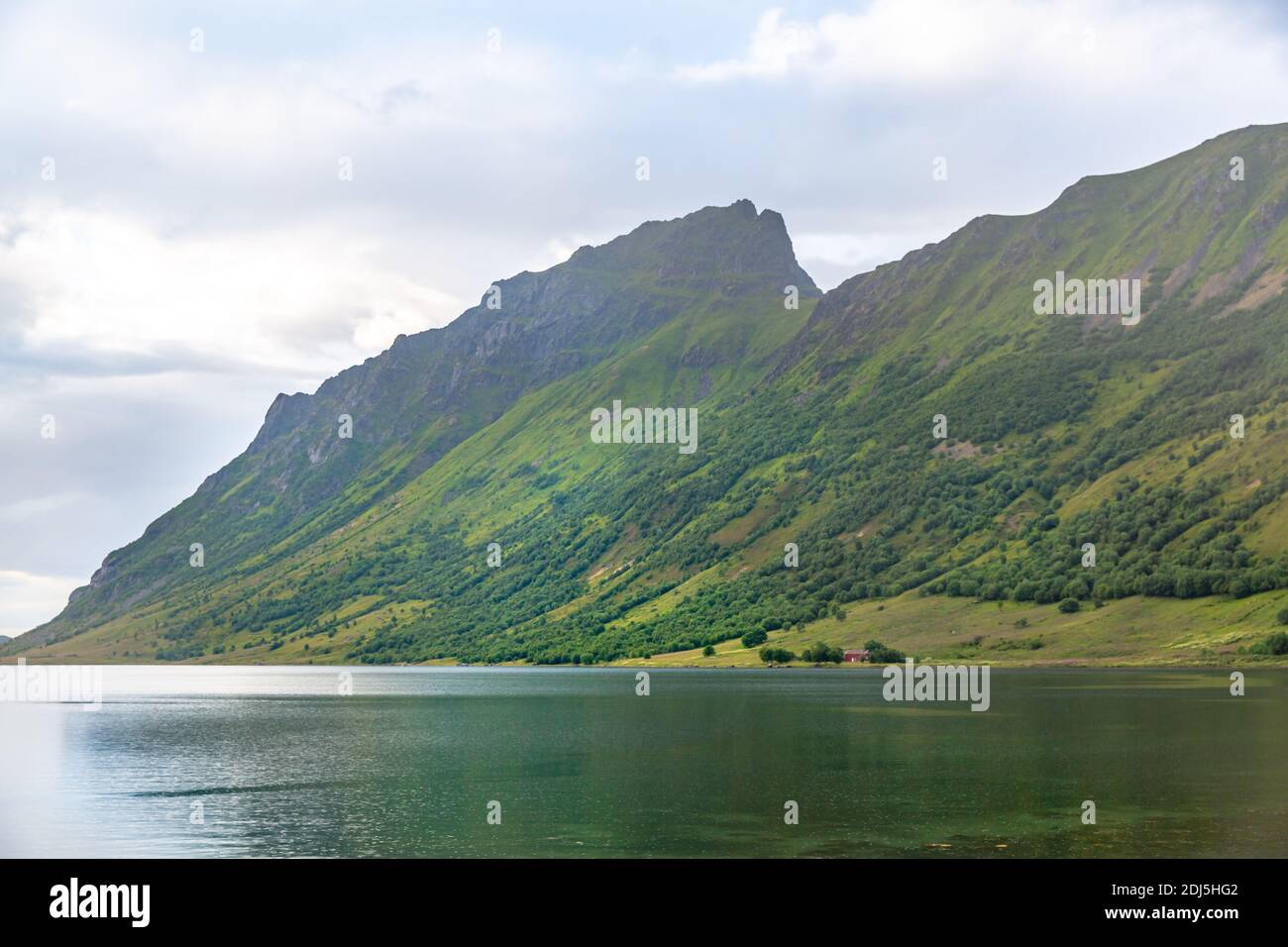 Norway landscape with fjord, mountains, forest in Lofoten , Norway ...