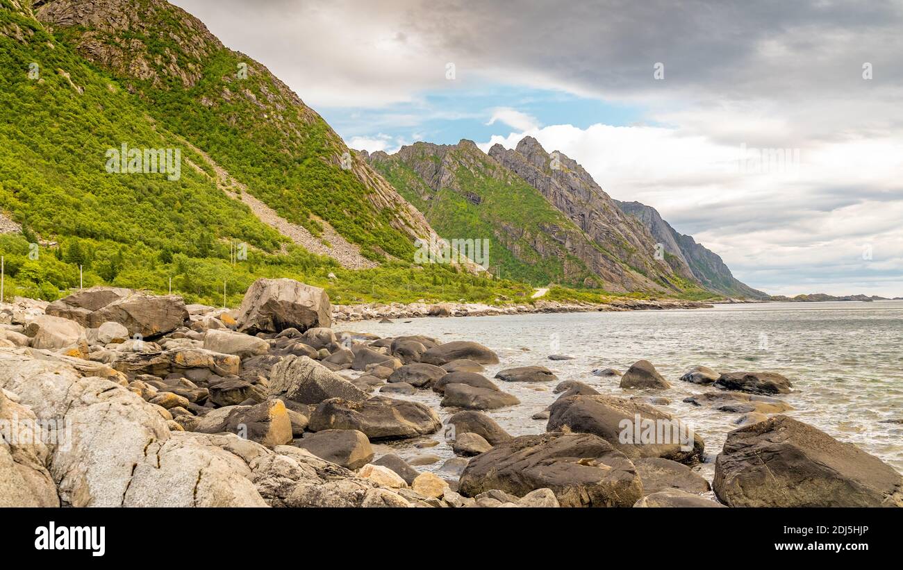 Norway landscape with fjord, mountains, forest in Lofoten , Norway ...