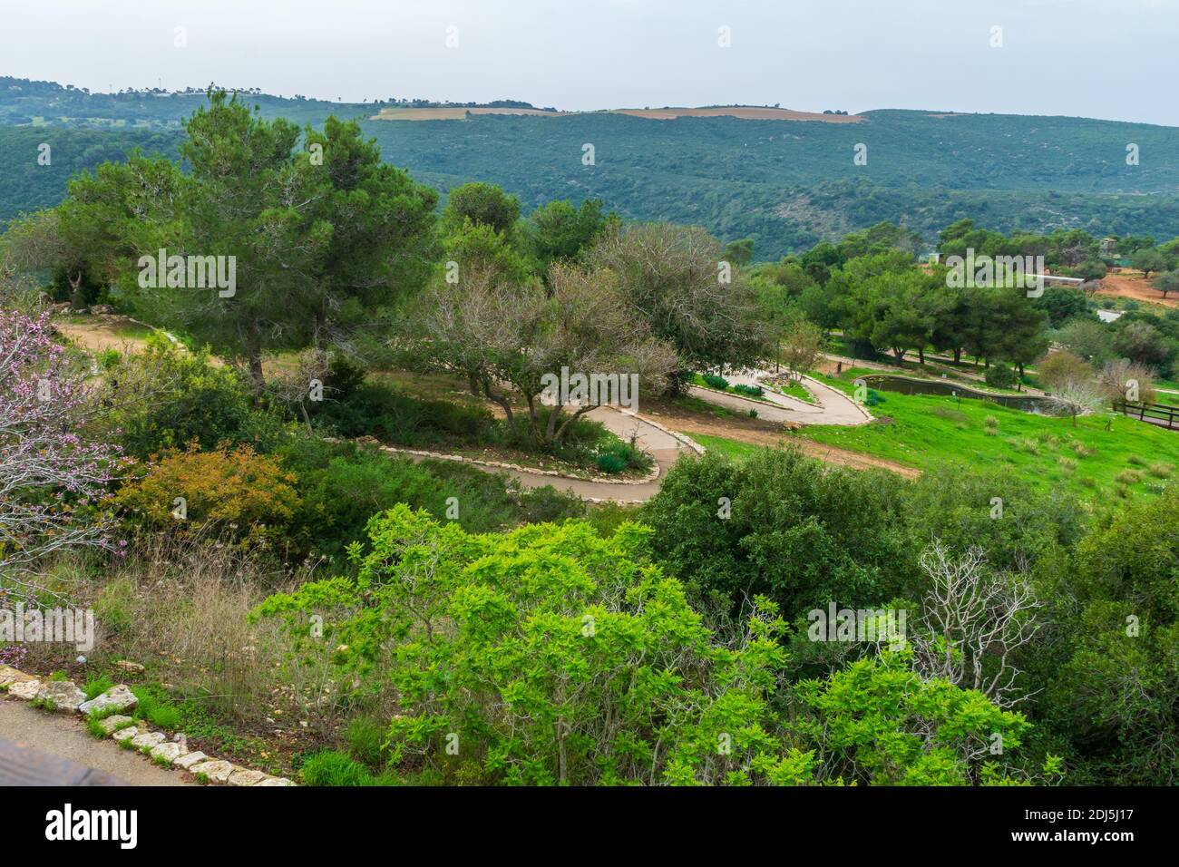 Landscape of the Hai-Bar Carmel Nature Reserve, and the slopes of Mount ...