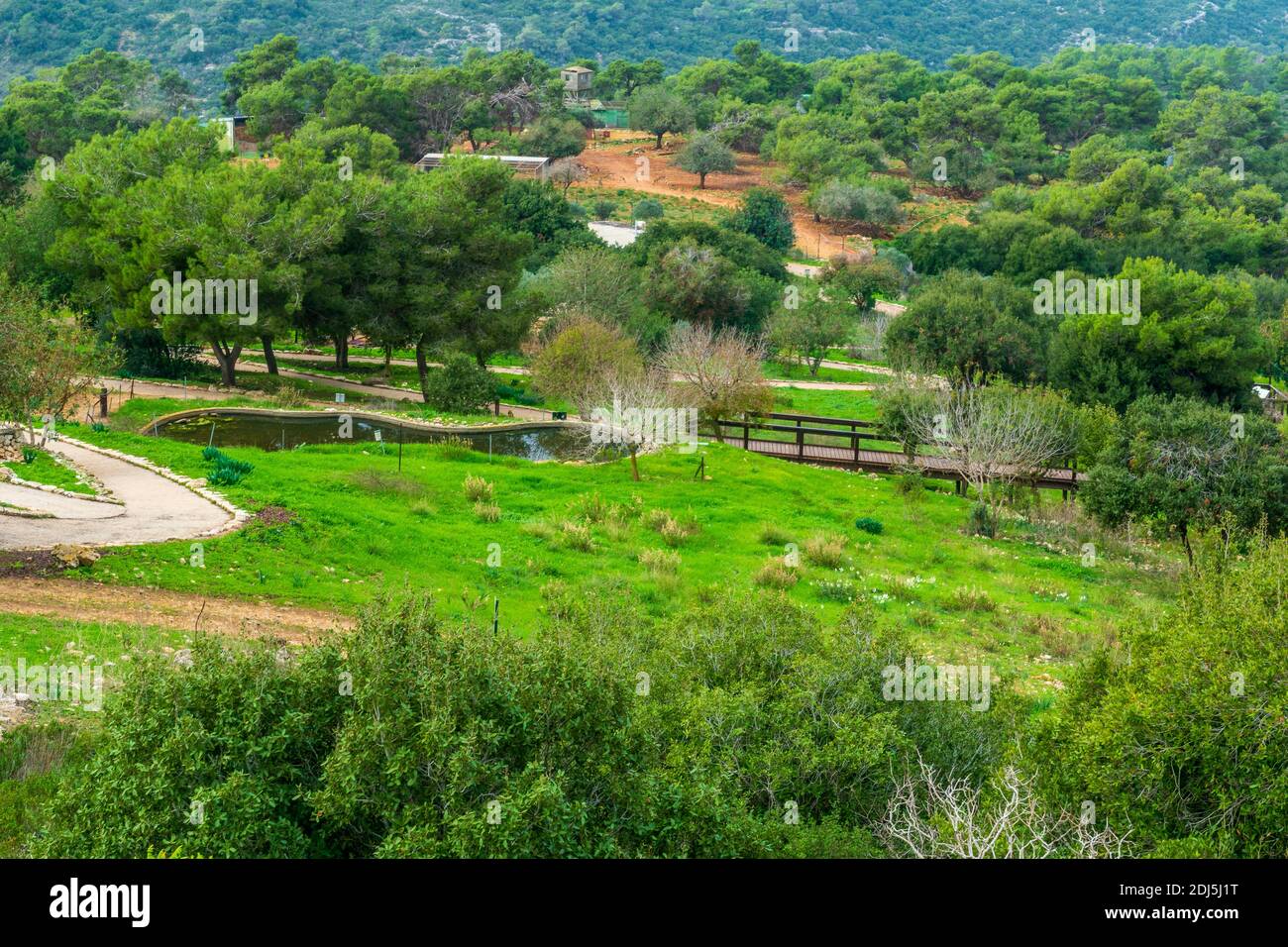 Landscape of the Hai-Bar Carmel Nature Reserve, and the slopes of Mount ...