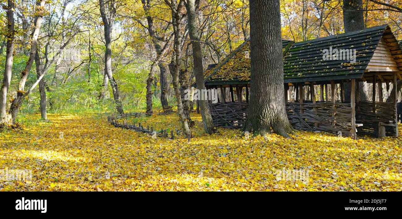 Dwelling rustic shelter wood structure hi-res stock photography and ...