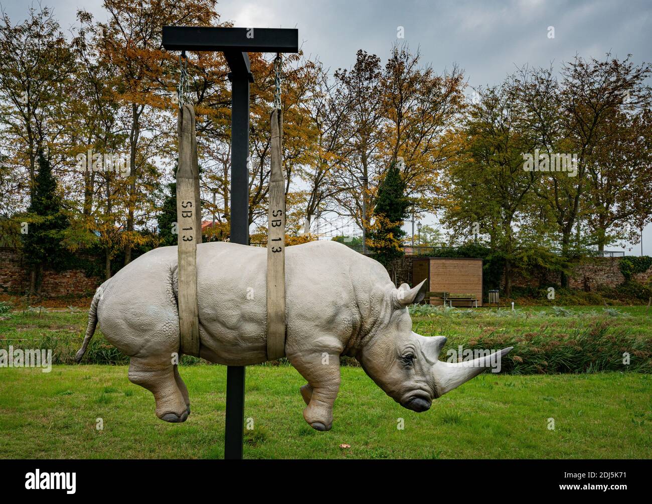Rhino weight hi-res stock photography and images - Alamy