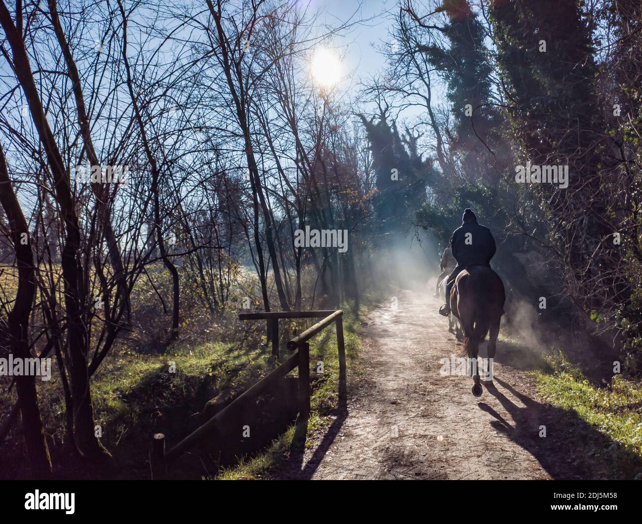 Horse riding scene in a winter morning Stock Photo - Alamy