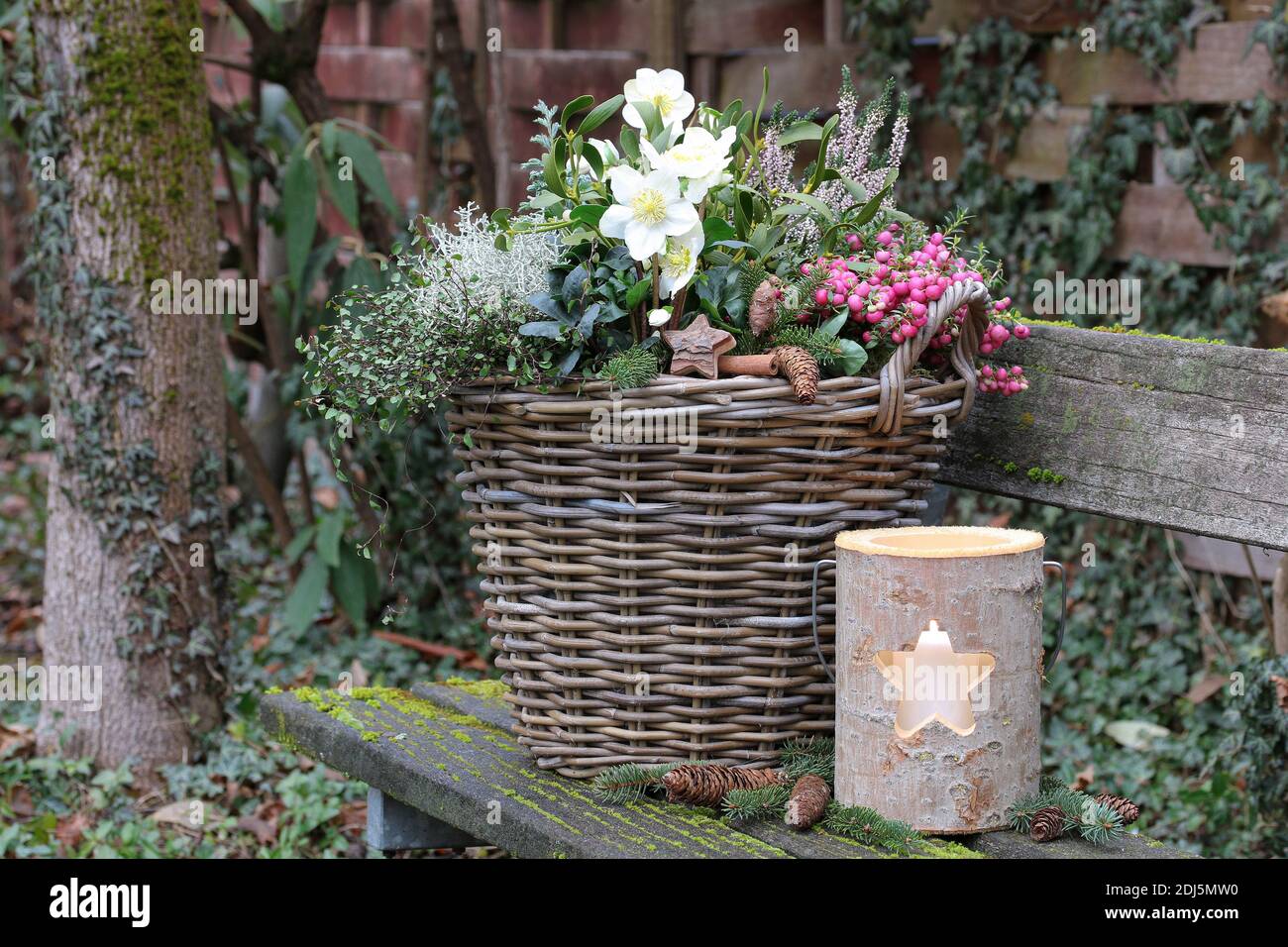 Winter flower basket hi-res stock photography and images - Alamy