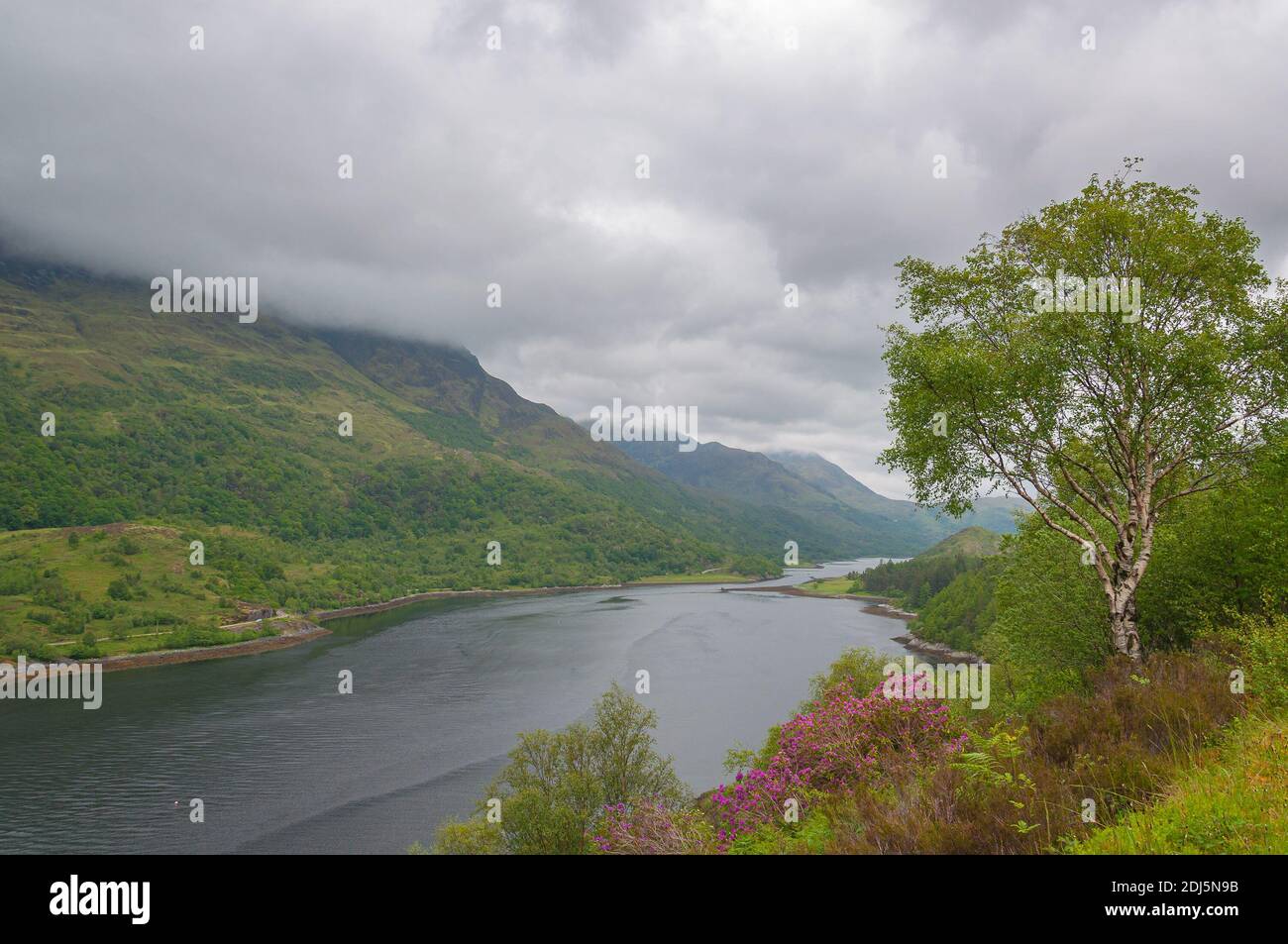 Panorama of lake surrounded by bright green trees. Concept: famous and ...