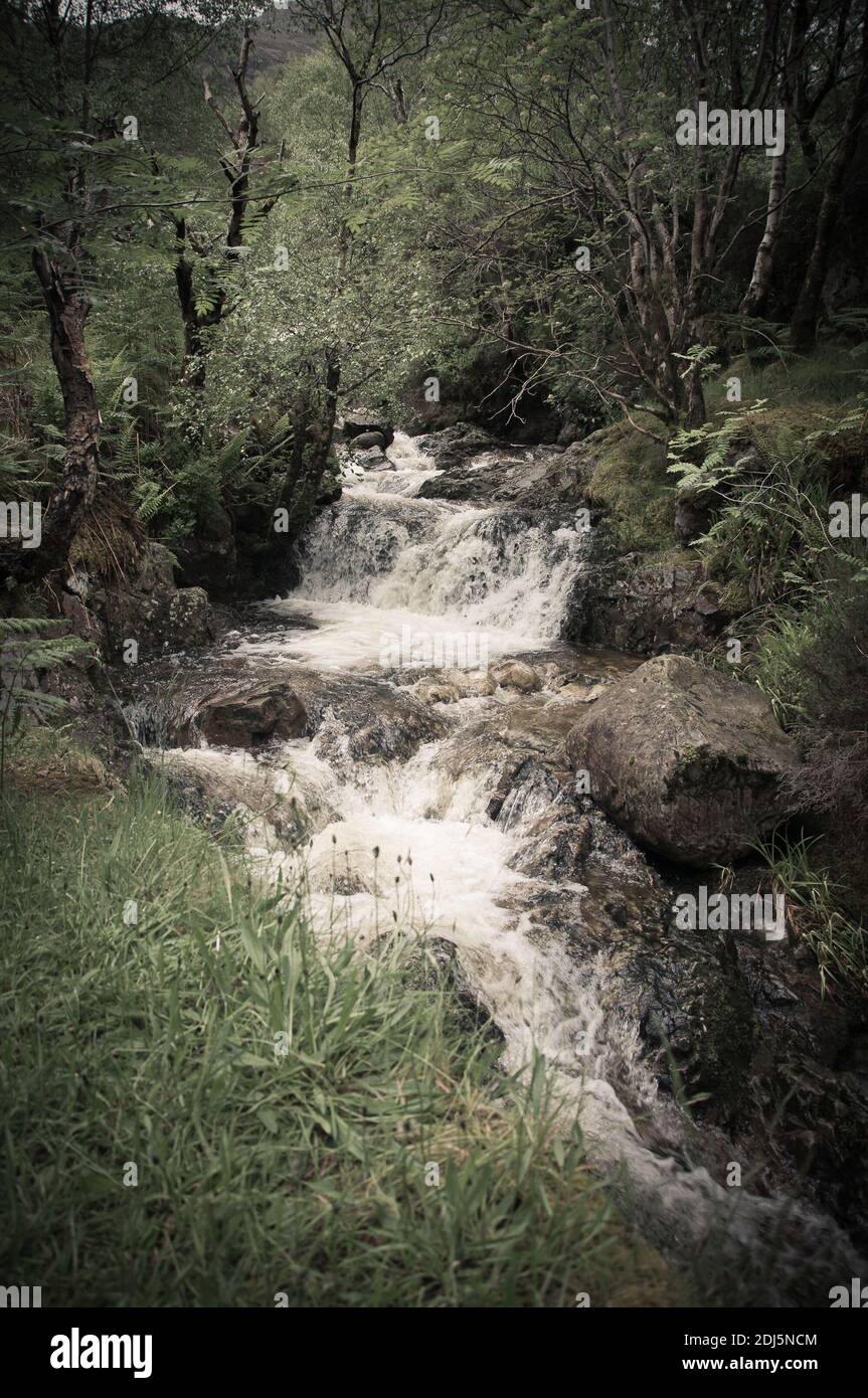 Vintage effect of small stream flowing in the woods of Glencoe ...