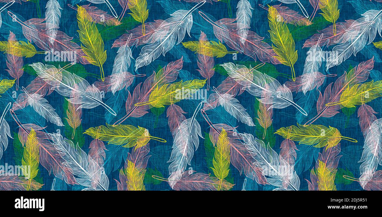 Feather pattern hi-res stock photography and images - Alamy