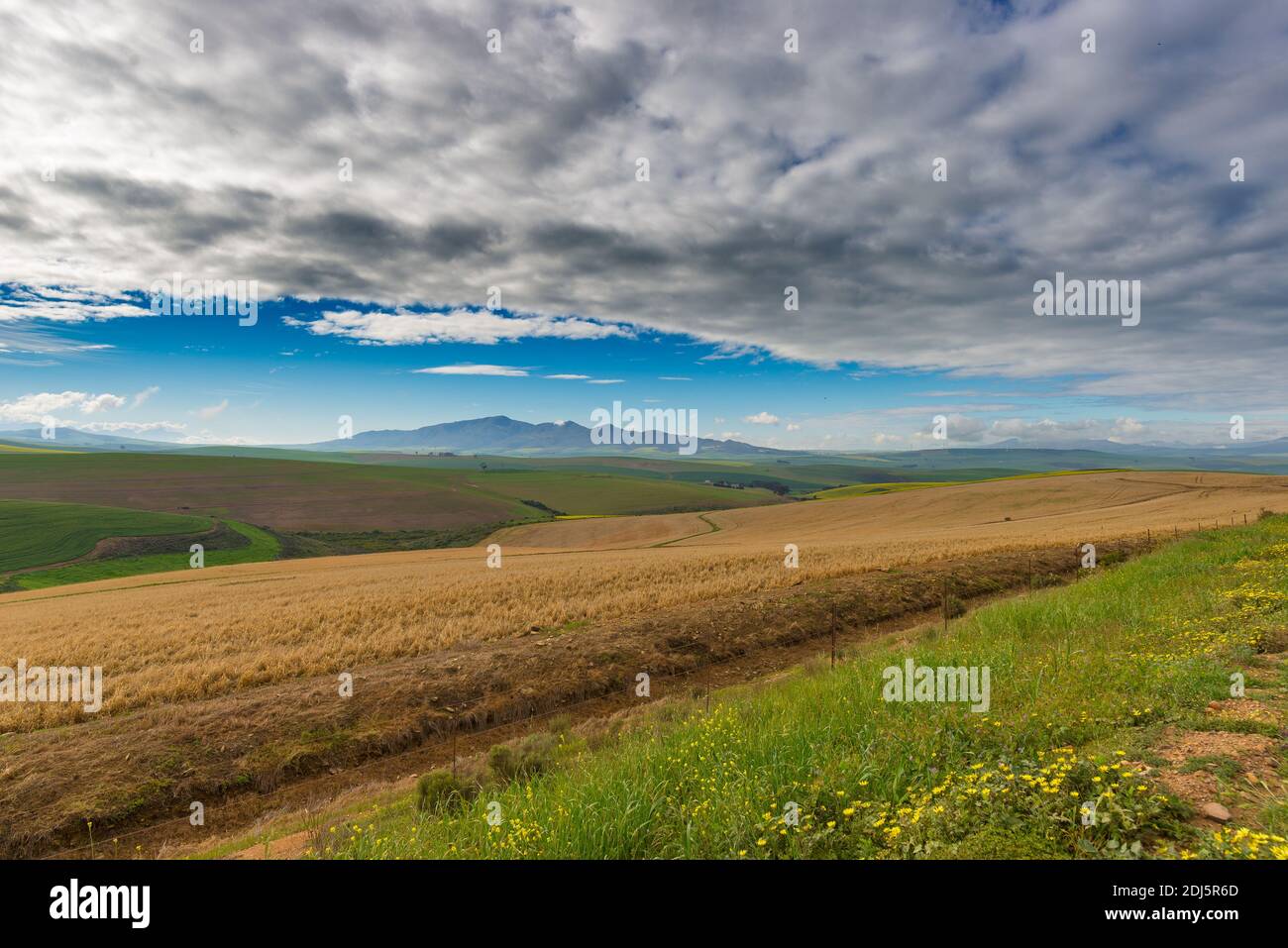 Cultivated fields and farms with scenic sky, landscape agriculture ...