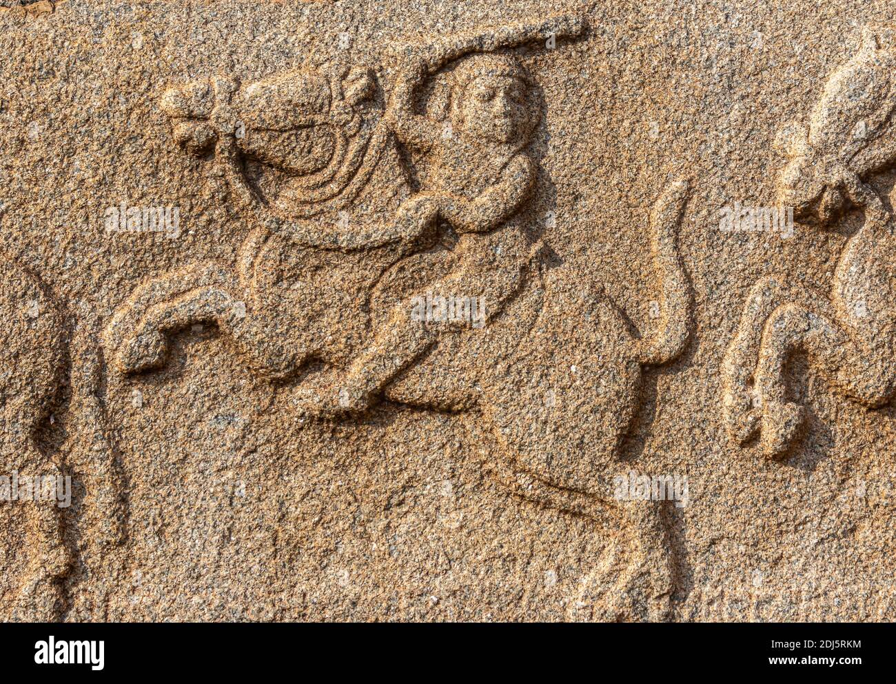 India knight hi-res stock photography and images - Alamy