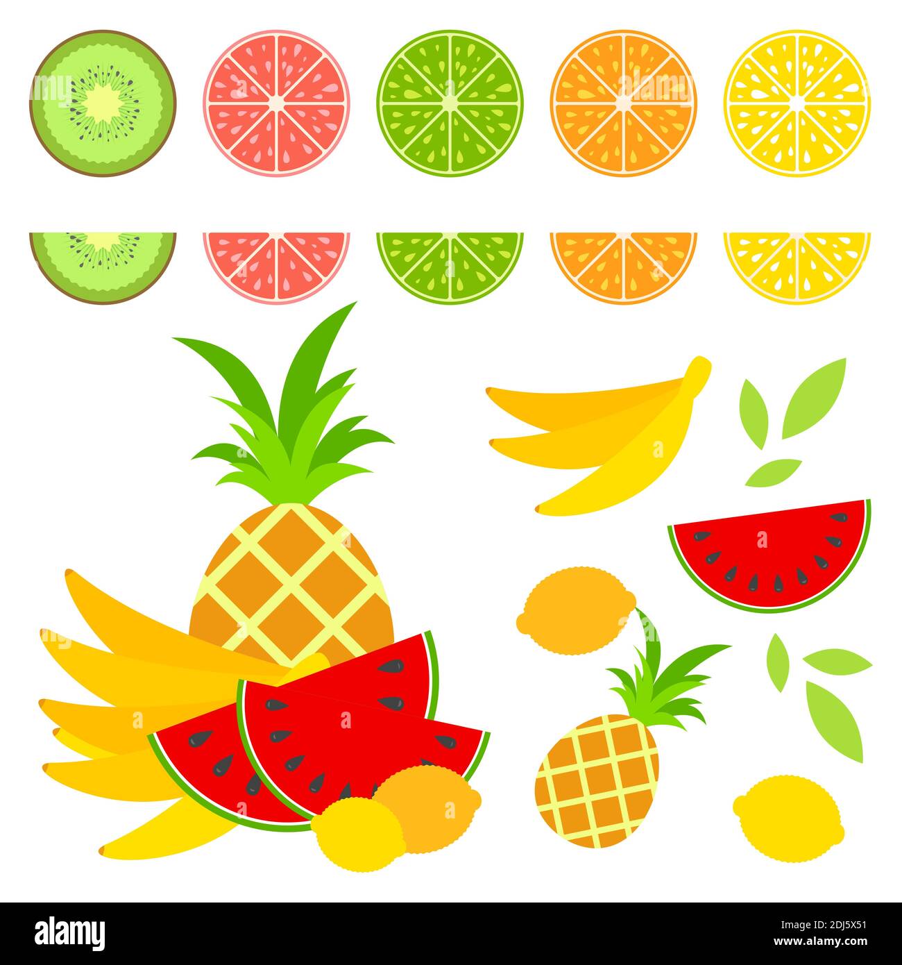 Kiwi fruits half on Stock Vector Images - Alamy