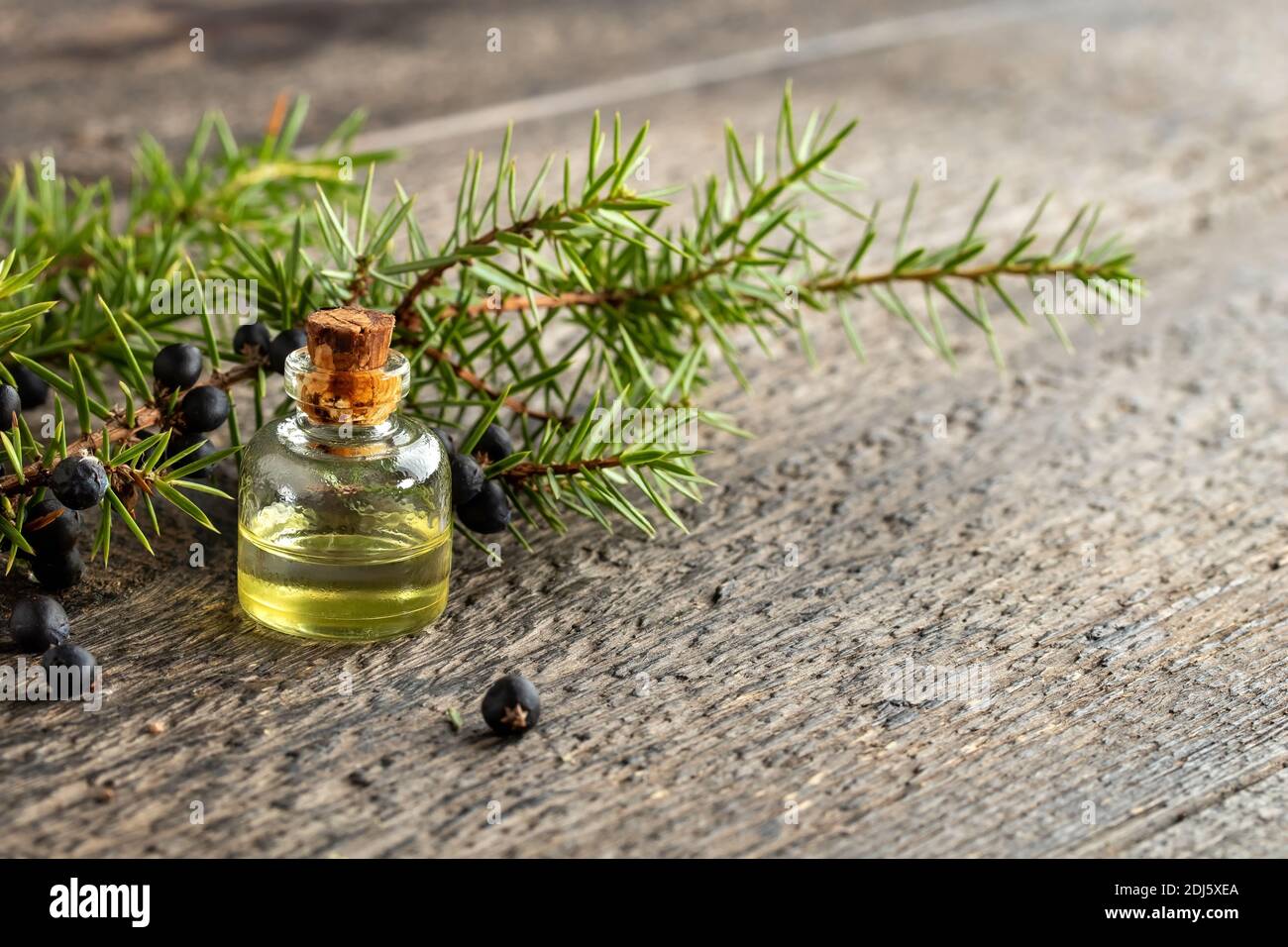 Glass bottle essential juniper hi-res stock photography and images - Alamy