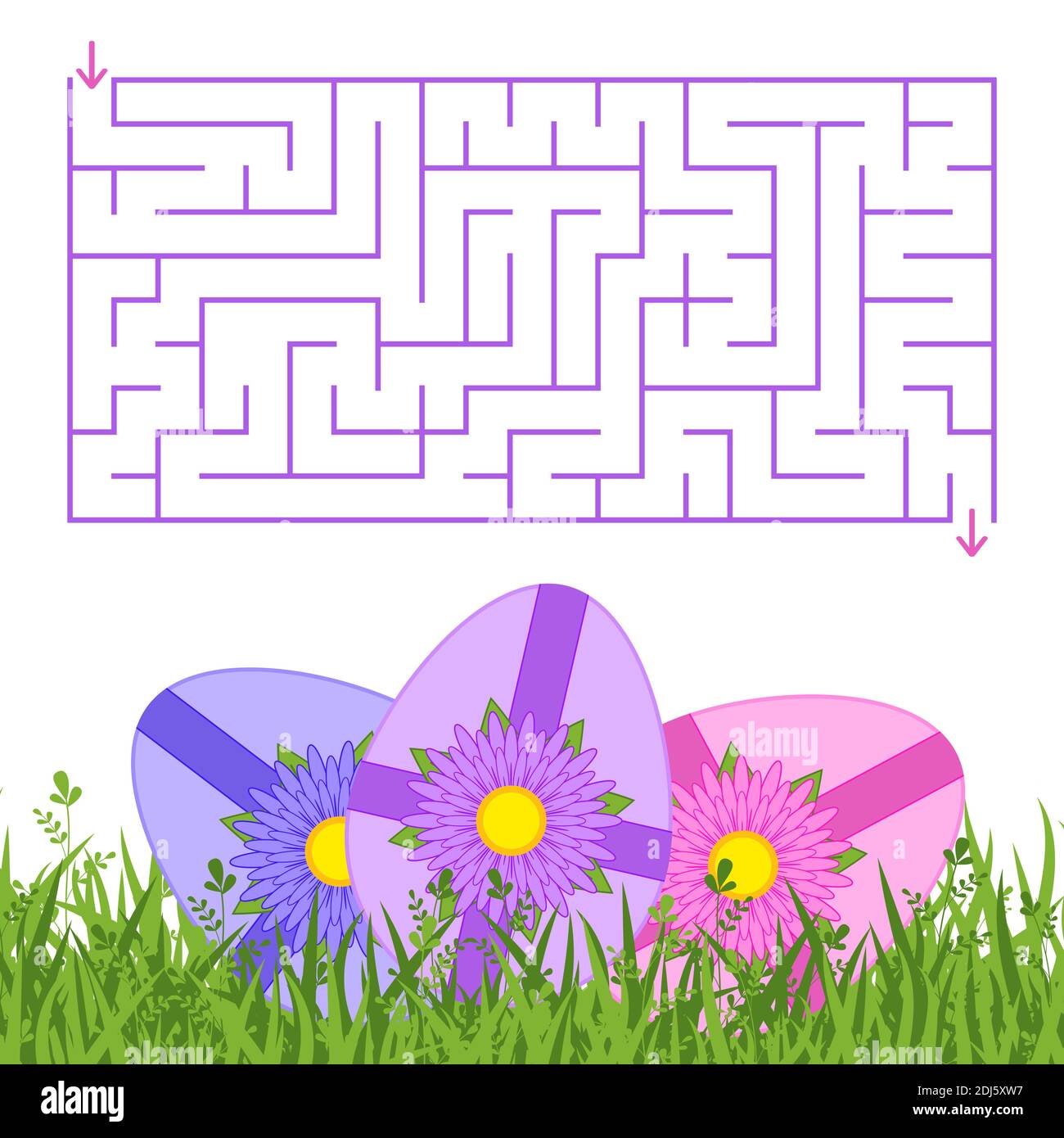 Abstract rectangular isolated labyrinth. Purple colors. An interesting ...