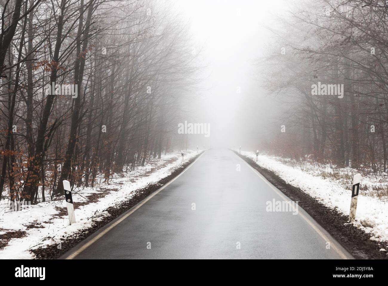 Forest street hi-res stock photography and images - Alamy