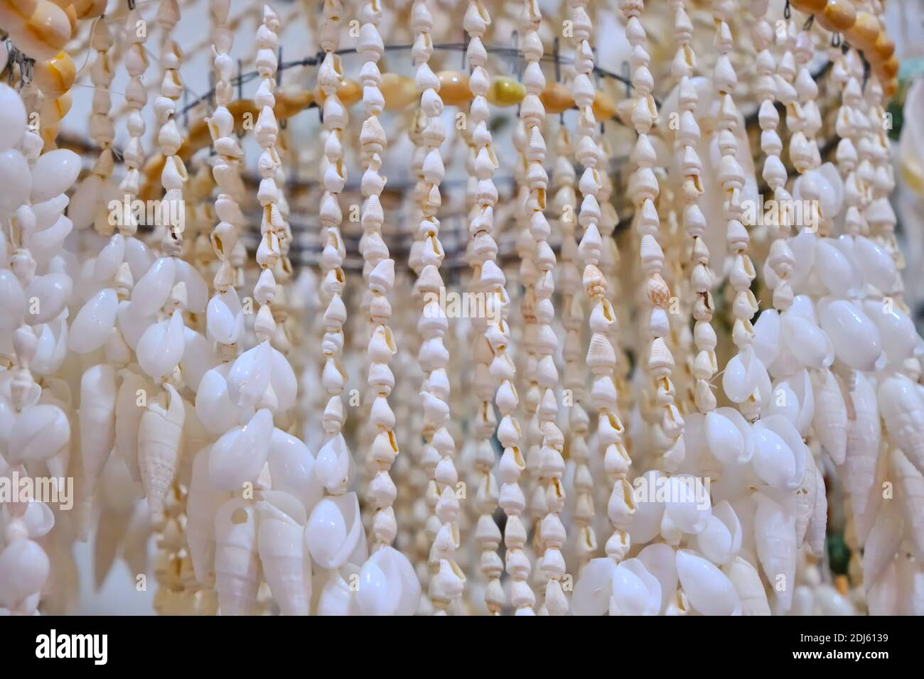 Arabic lamp of shells, background close-up. African snail shells on a ...