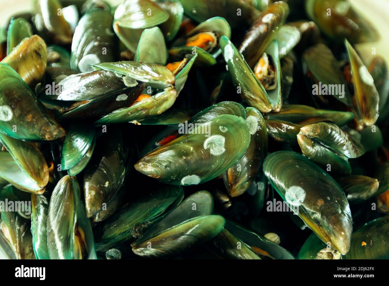 Mussels, sea food in a cooking container Stock Photo - Alamy