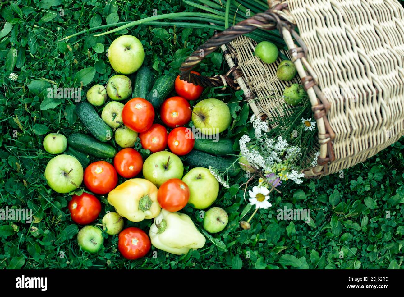Basket fruits vegetables scattered hi-res stock photography and images ...