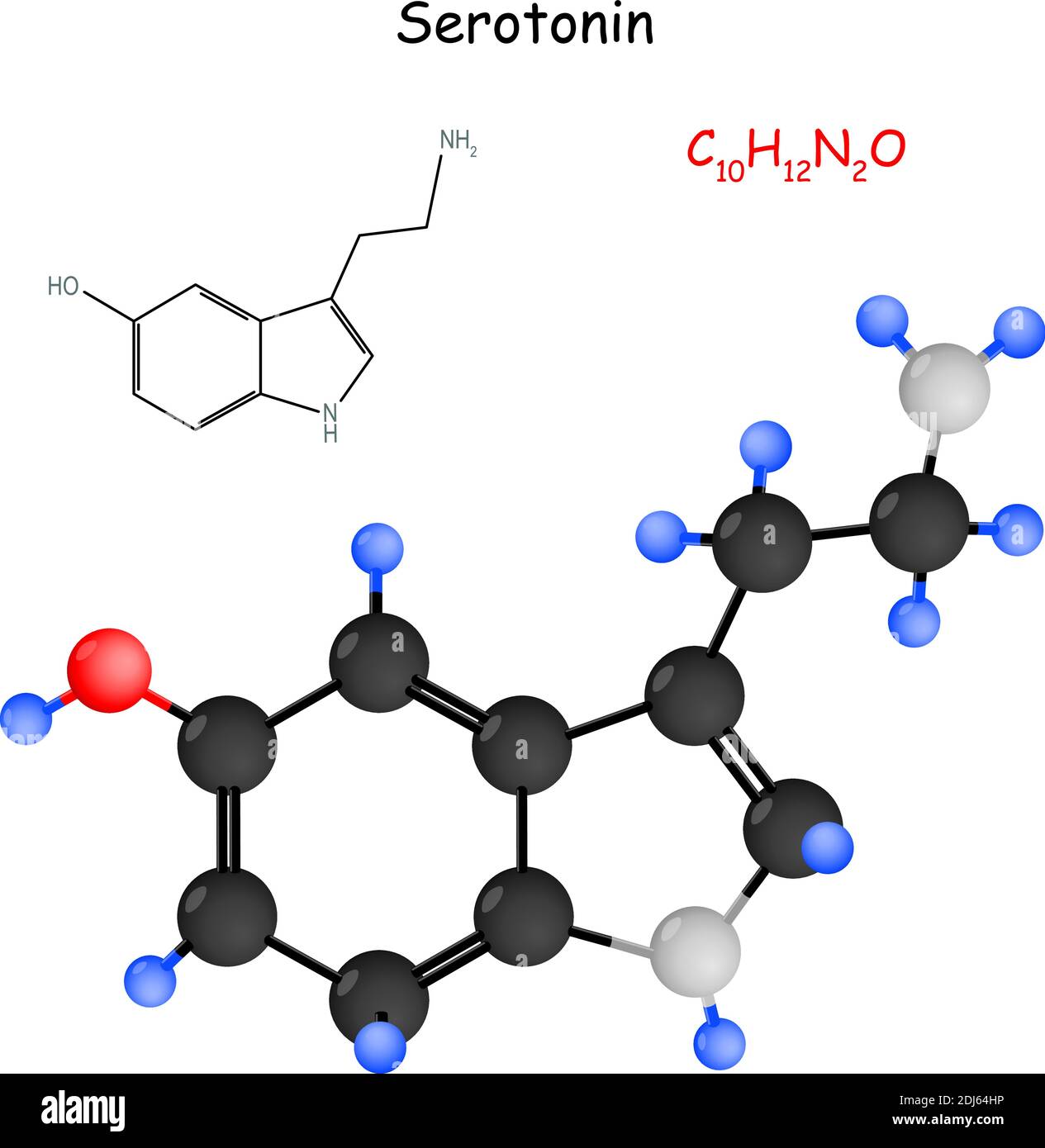 Neurotransmitter Stock Vector Images - Alamy
