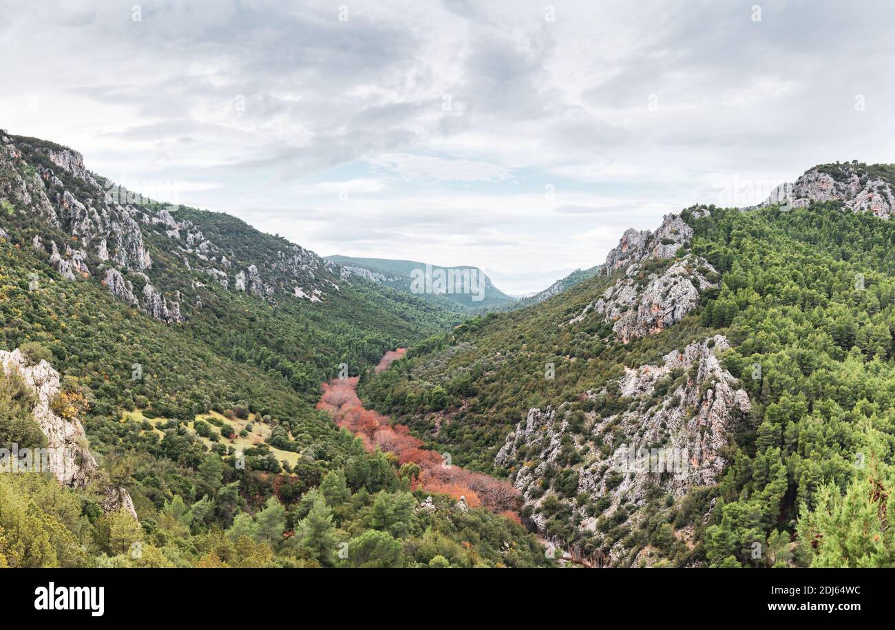 Valley with green trees and a strip of autumn colored ones Stock Photo ...