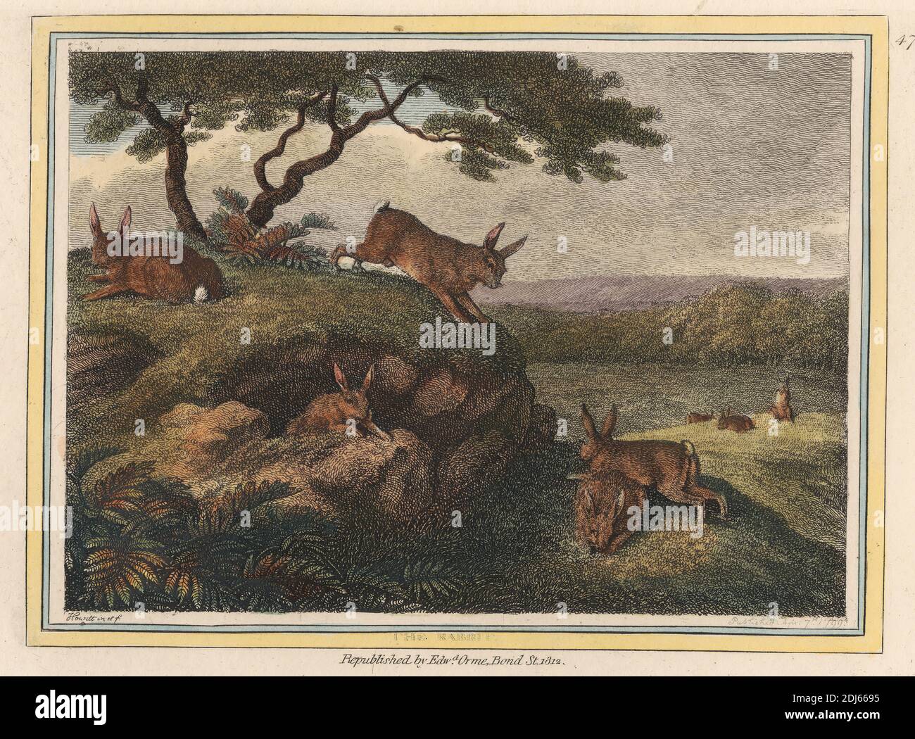 The Rabbit, Print made by Samuel Howitt, 1756–1822, British, Published by Edward Orme, 1775–1848 ...