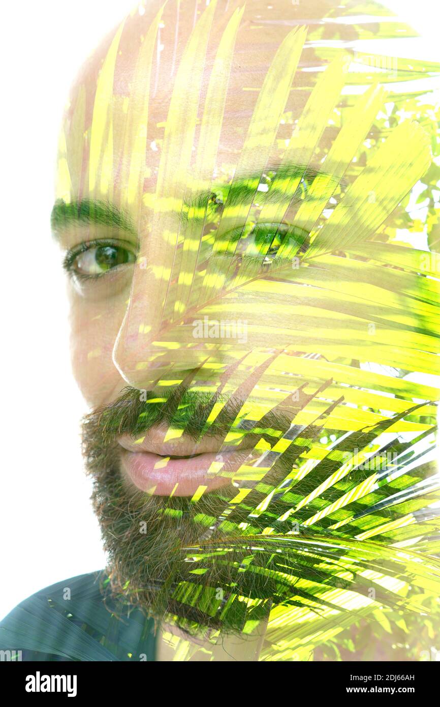 Bearded palm tree hi-res stock photography and images - Alamy