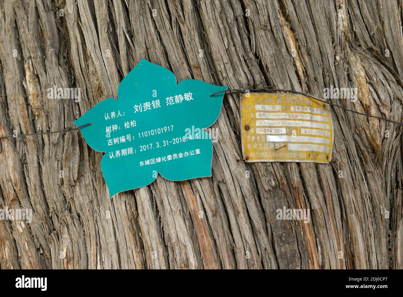 Tree sponsorship sign on left with names of the two sponsors, and ...