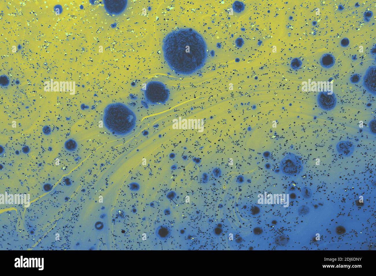 an illustration of the black cells on a yellow and blue background ...