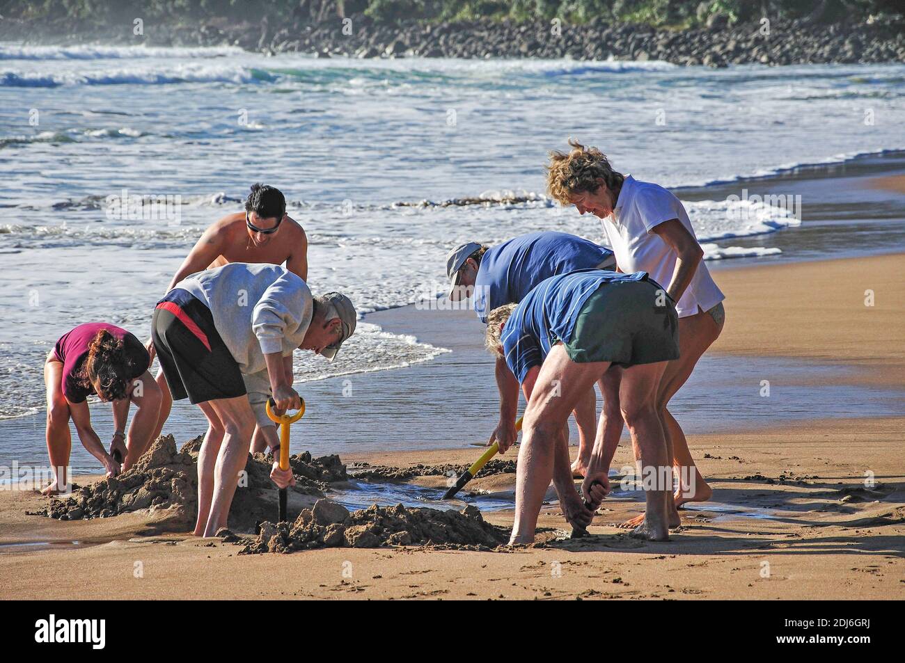 Tourists digging hole in sand for hot water, Hot Water Beach, Mercury ...