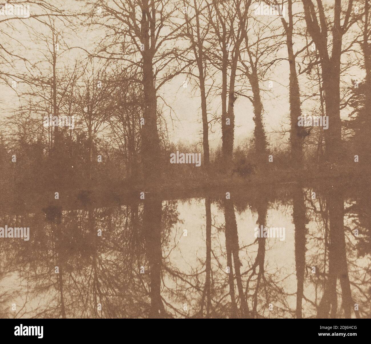 Salted paper print from paper negative hi-res stock photography and ...