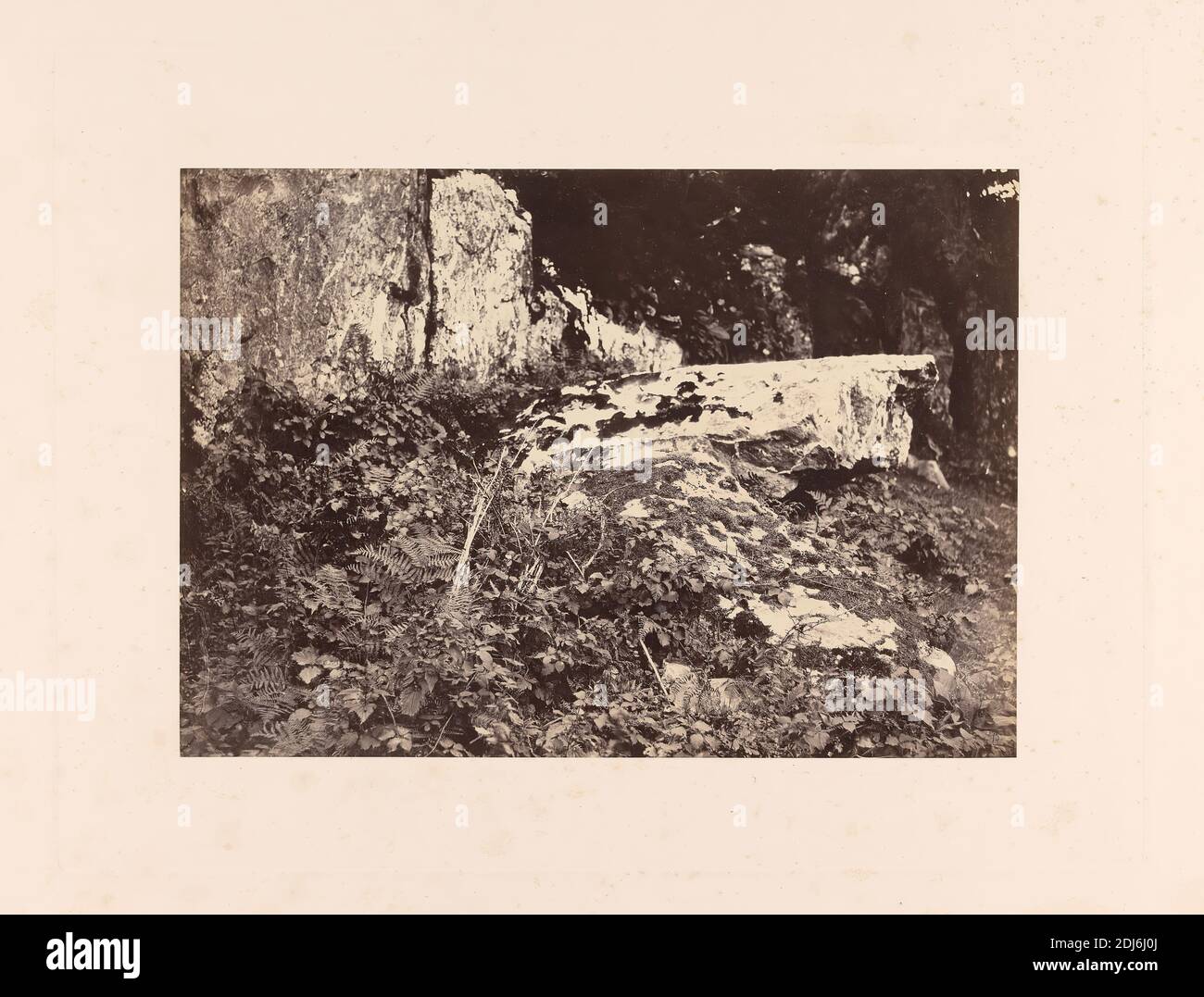 Henry white 1819 hi-res stock photography and images - Alamy