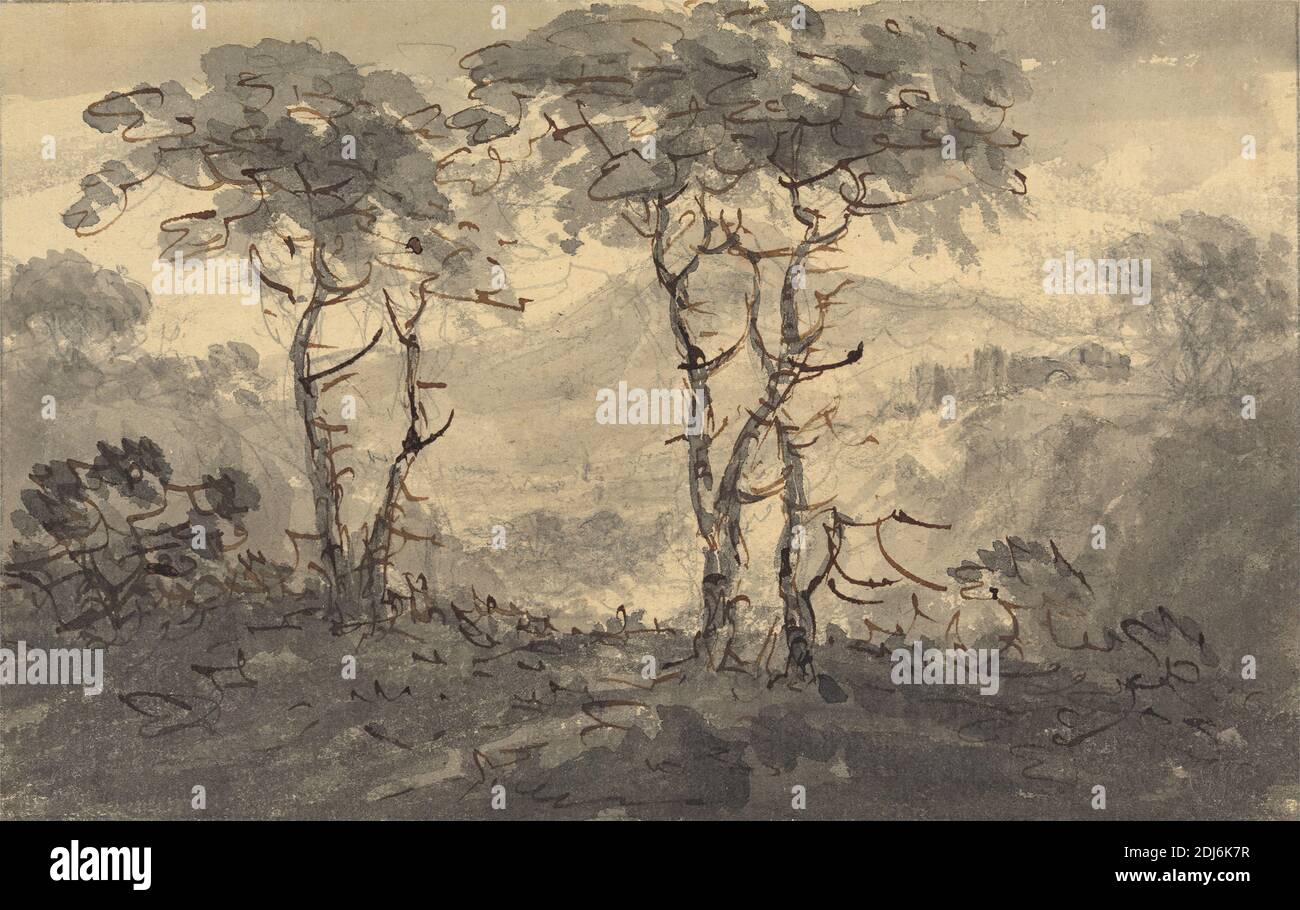 Fir william hi-res stock photography and images - Alamy