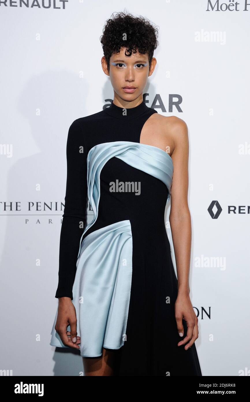 Dillon attending the Amfar dinner as part of Paris Fashion Week at the ...