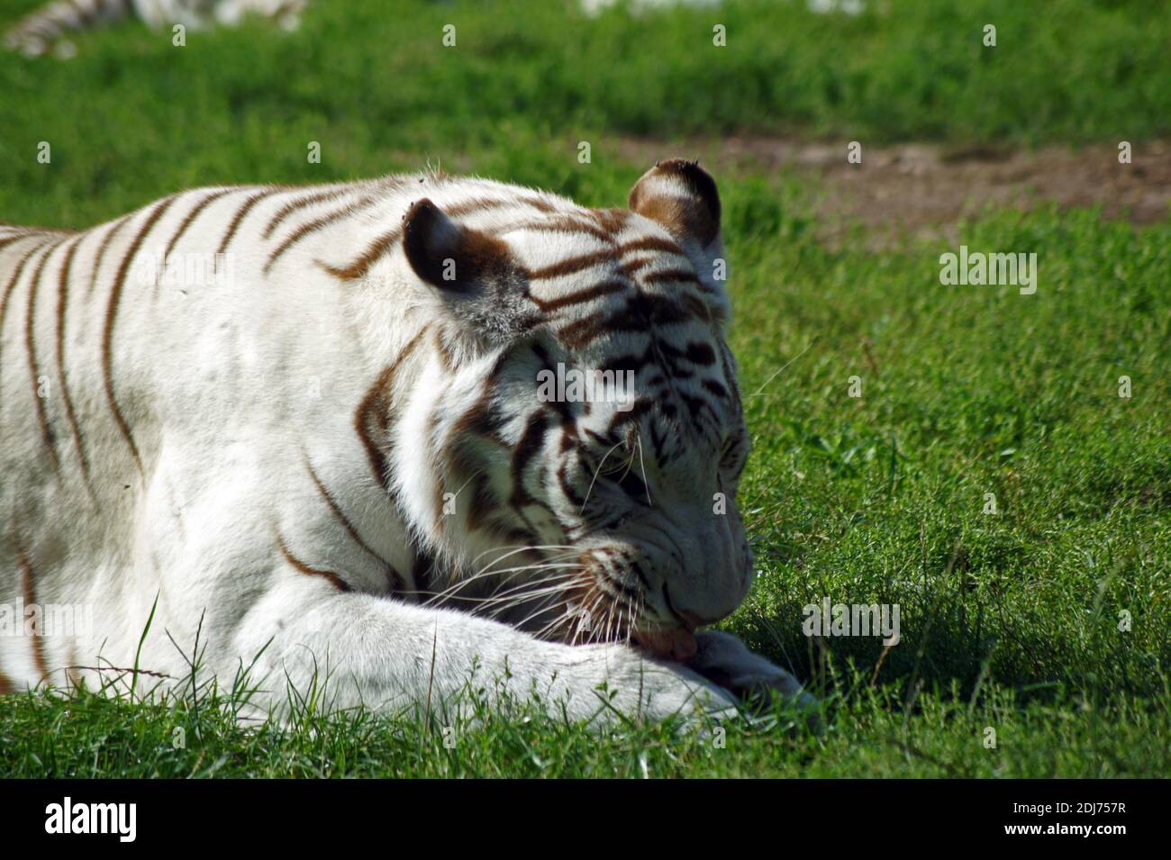 Sacred meal hi-res stock photography and images - Alamy