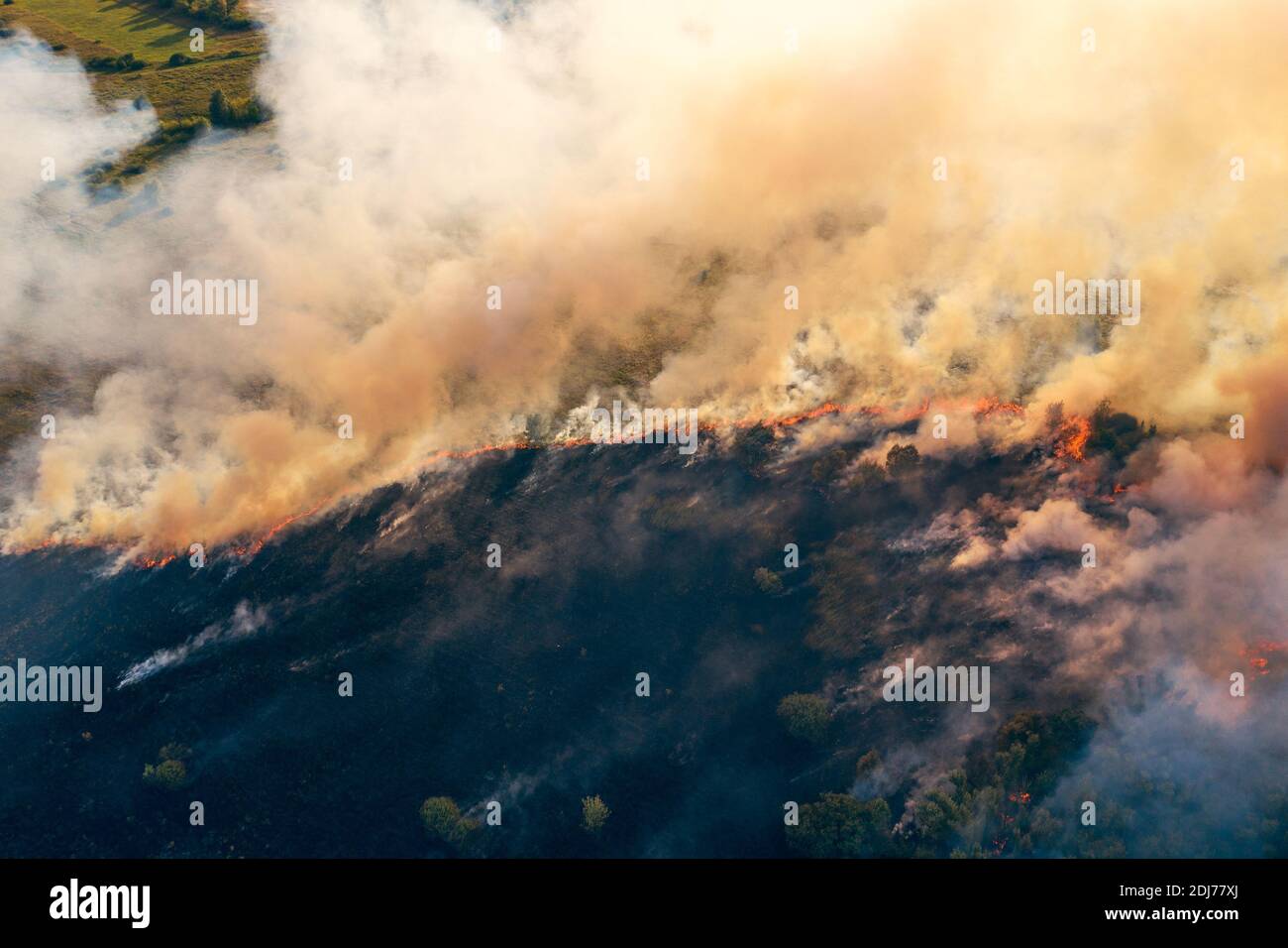 Fire in forest, burning trees and grass with smoke, aerial top view ...