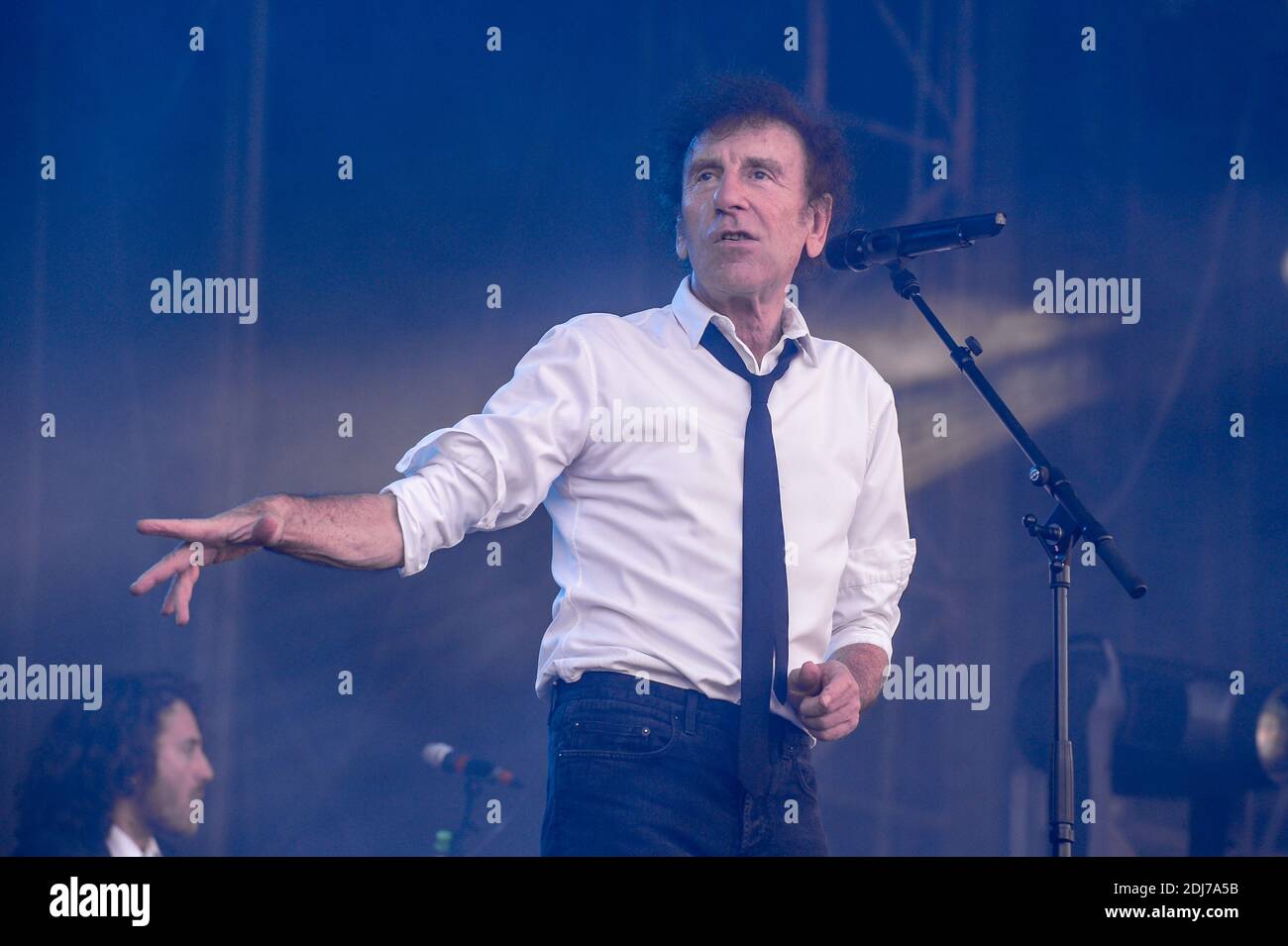 Alain Souchon performing live in concert at Festival Les Vieilles ...