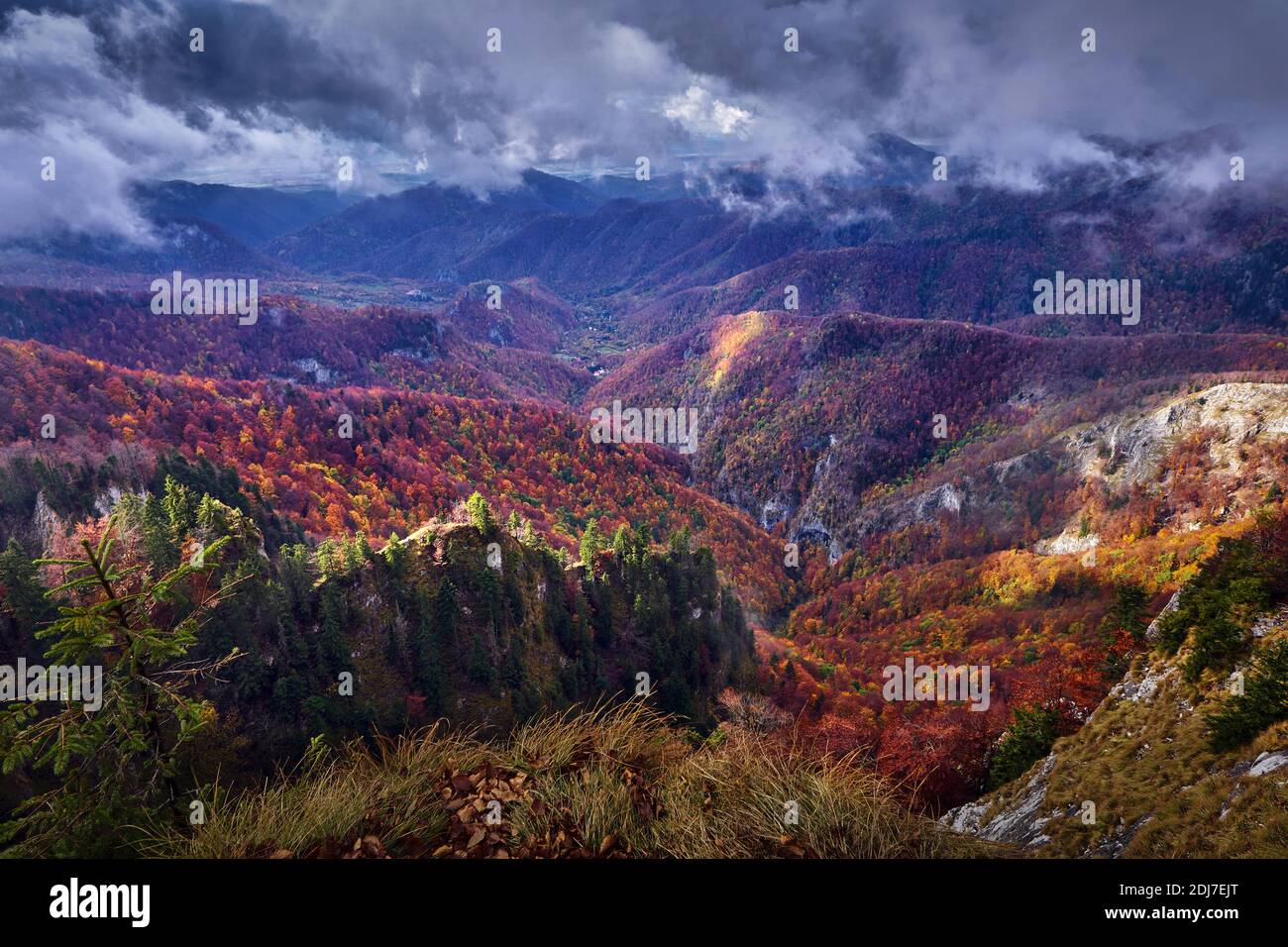 Colorful various forests on a mountain with vibrant tones Stock Photo ...