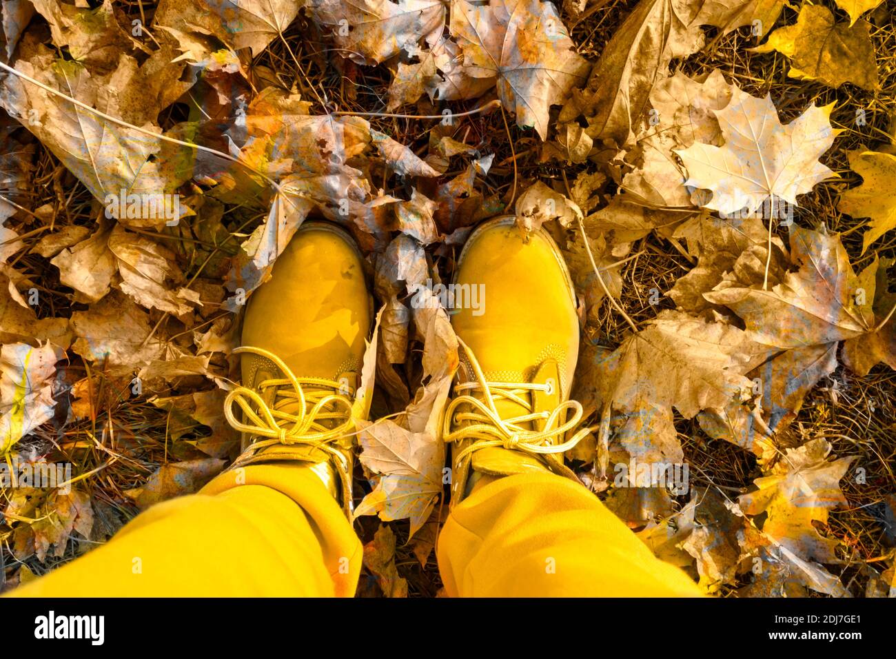 bright illuminating yellow modern, fashion, stylish boots on ultimate ...