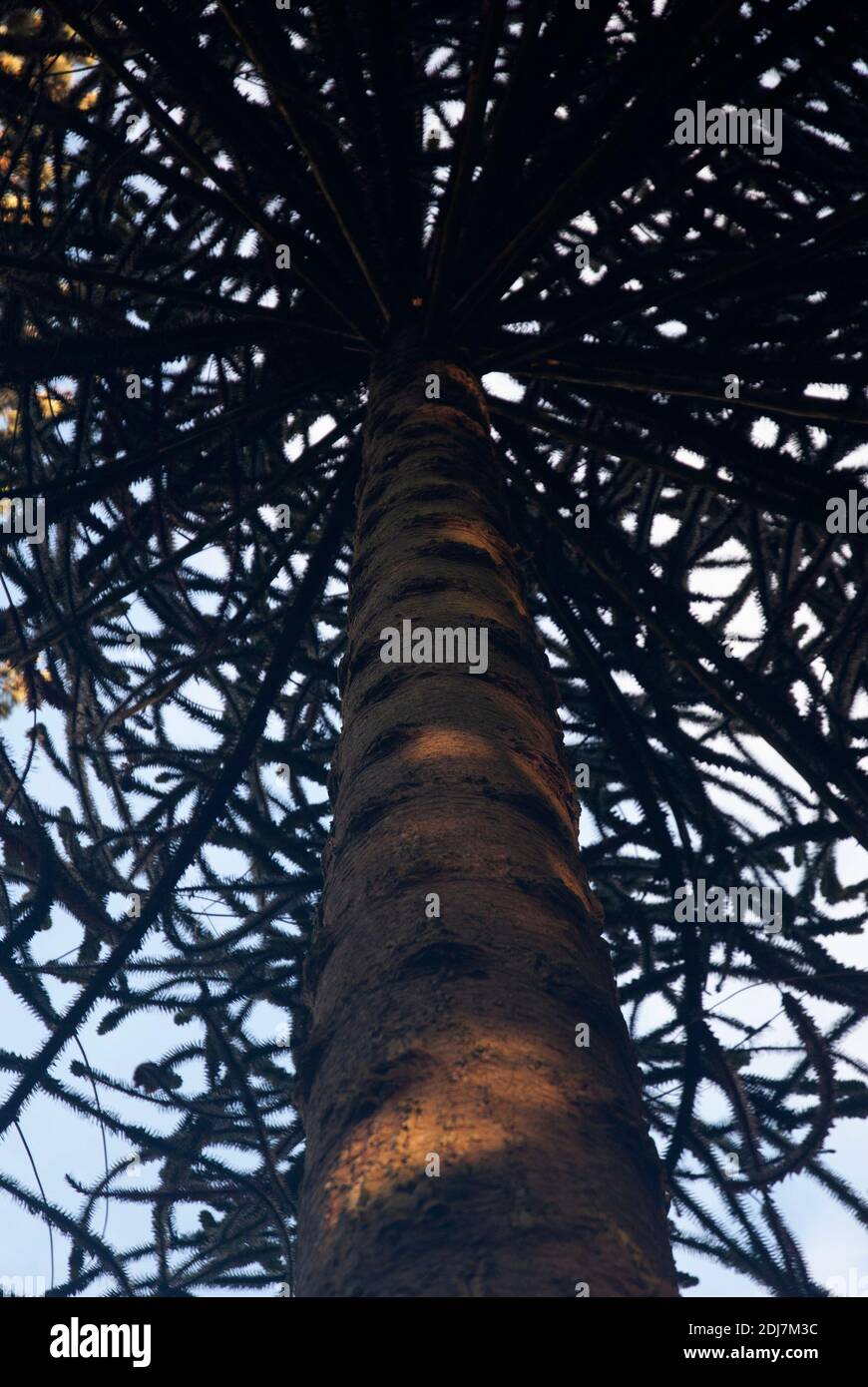 Victoria gardens bath hi-res stock photography and images - Alamy