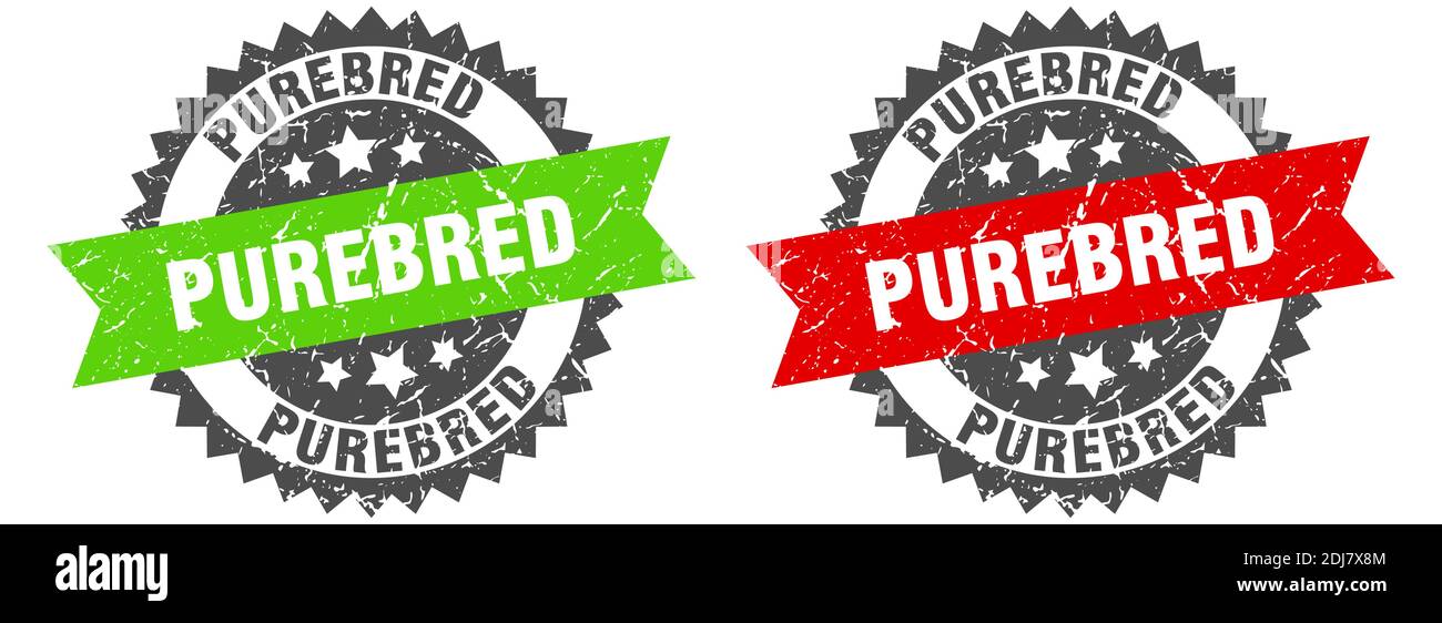 purebred grunge stamp set. purebred band sign Stock Vector Image & Art ...