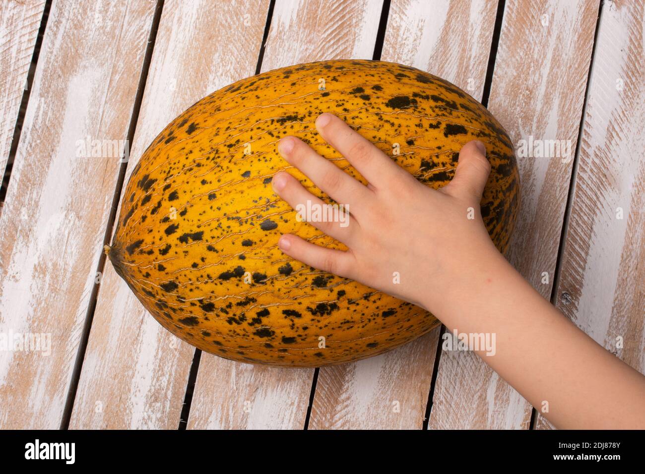 Hand on beautiful tasty ripe melons at the market Stock Photo - Alamy